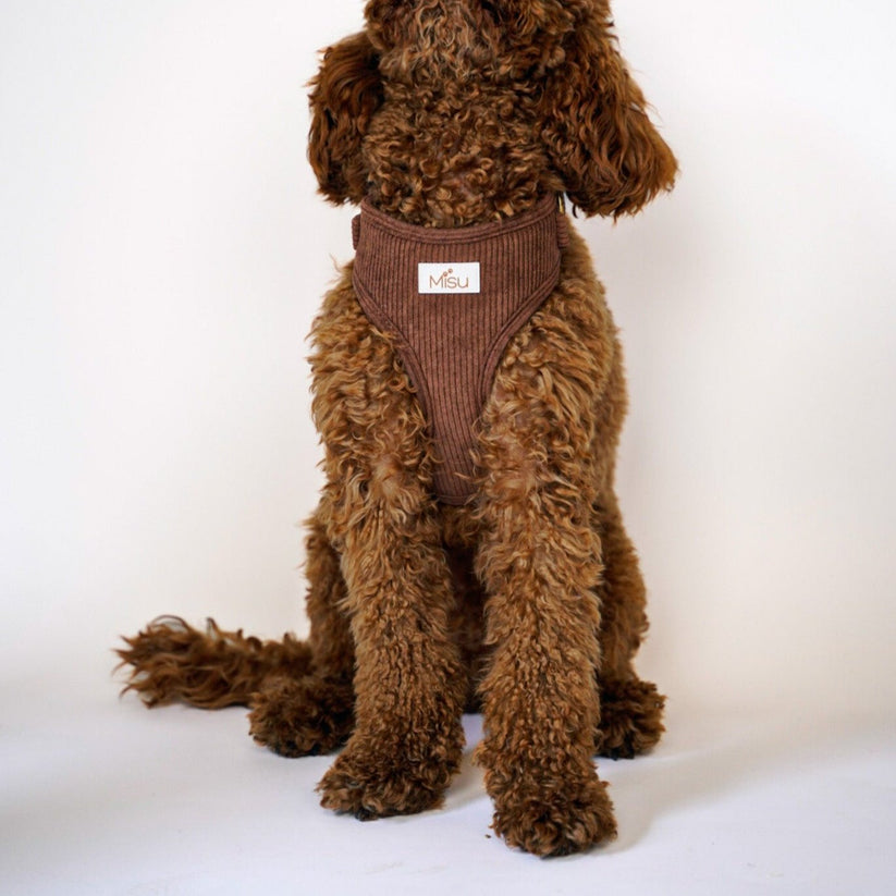 Corduroy Harness רתמה מקורדרוי לכלב – Misu Pets